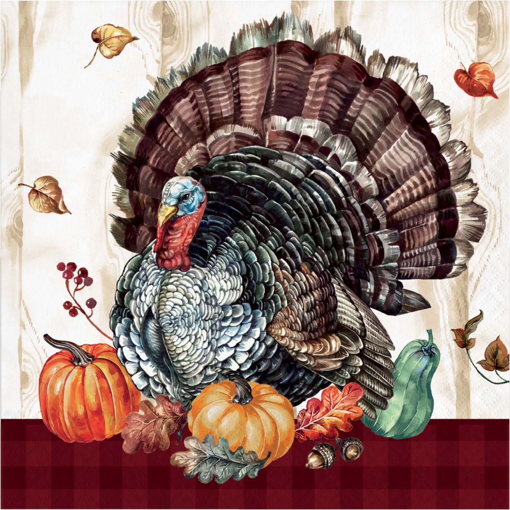 Timeless Turkey Lunch Napkins: Party at Lewis Elegant Party Supplies ...