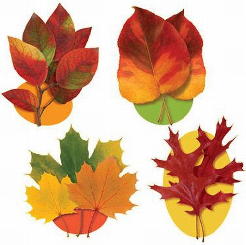 Autumn Leaf Cutouts: Party at Lewis Elegant Party Supplies, Plastic ...