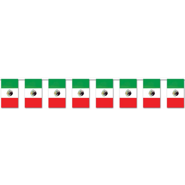 Mexican Flag Outdoor Banner: Party at Lewis Elegant Party Supplies ...