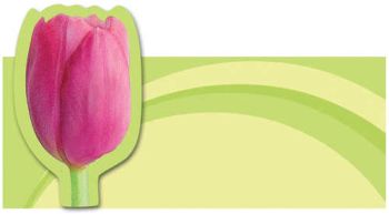 Blooming Tulips Placecards: Party at Lewis Elegant Party Supplies ...