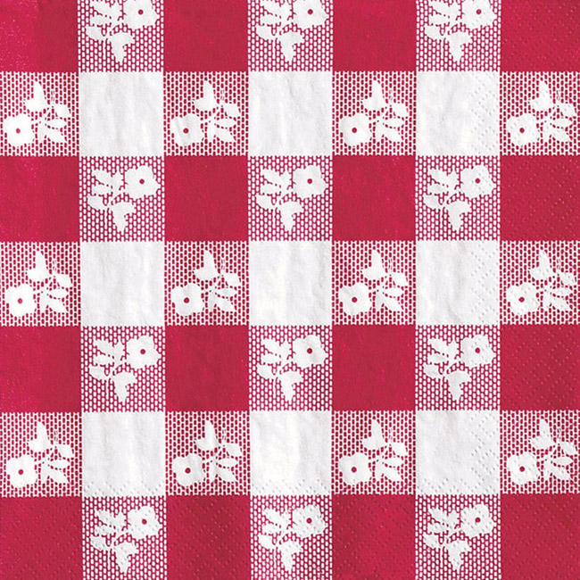 Red Gingham Lunch Napkins: Party at Lewis Elegant Party Supplies ...