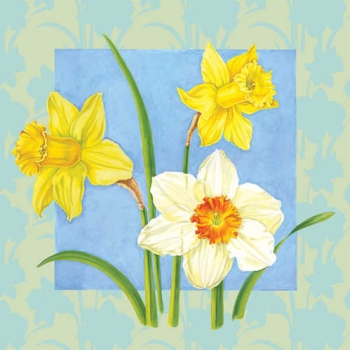 Daffodil Luncheon Napkins: Party at Lewis Elegant Party Supplies ...