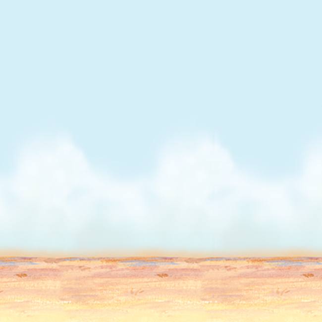 Desert Sky & Sand 30-foot Backdrop: Party at Lewis Elegant Party ...