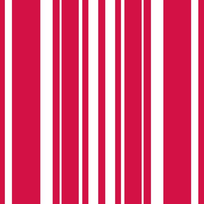 Coordinate 3-Ply Lunch Napkins, Red Stripe: Party at Lewis Elegant ...
