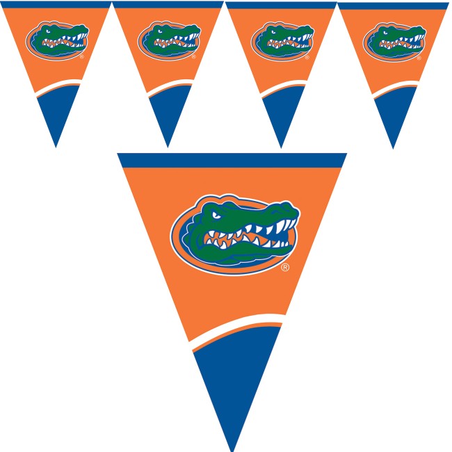 Florida Gators Flag Banner: Party at Lewis Elegant Party Supplies ...