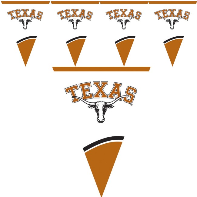 Texas Longhorns Flag Banner: Party at Lewis Elegant Party Supplies ...