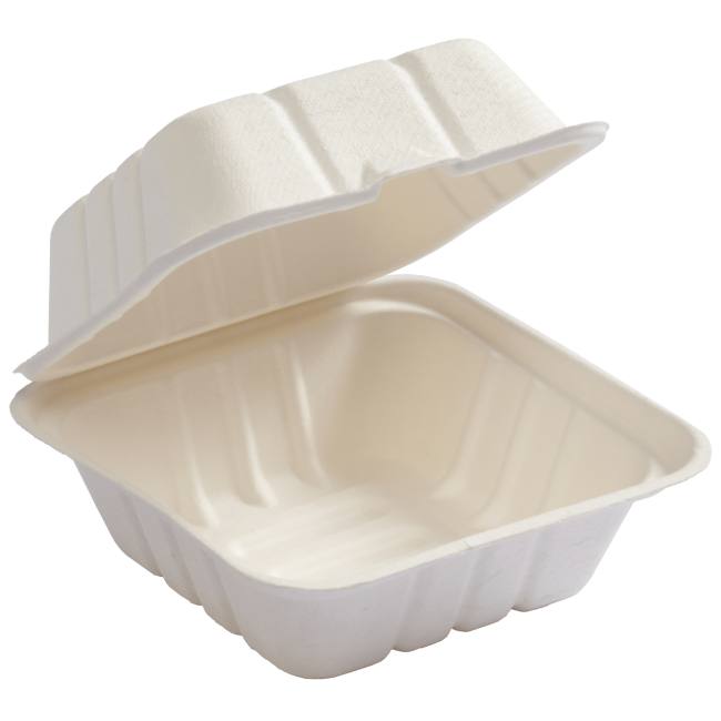 Earth Wise 6-inch Clamshell: Party at Lewis Elegant Party Supplies ...