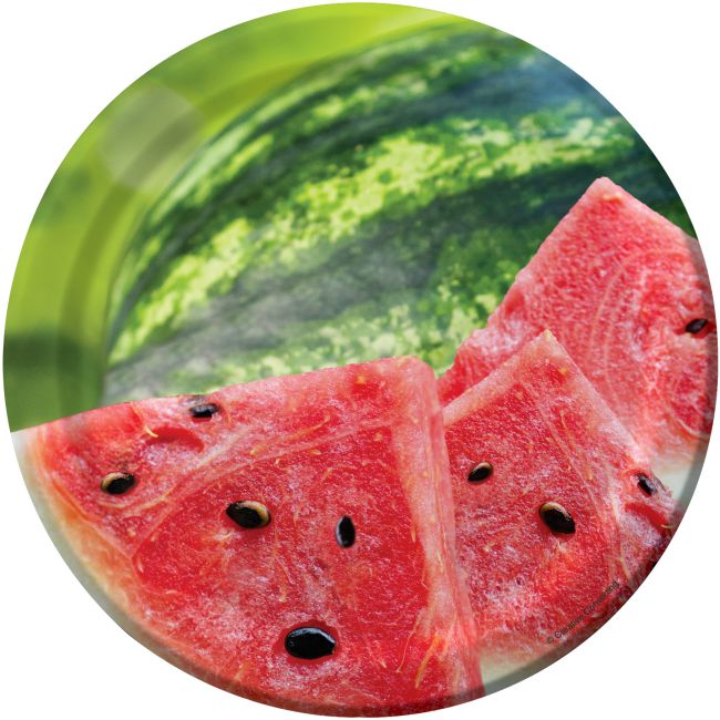 Summer Seeds Watermelon 7-inch Paper Plates: Party at Lewis Elegant ...