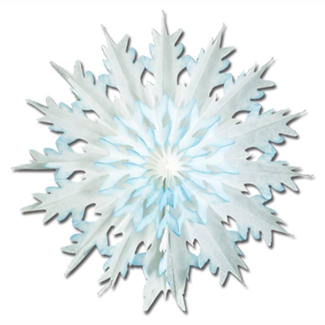 Dip-Dyed Snowflakes: Party at Lewis Elegant Party Supplies, Plastic ...