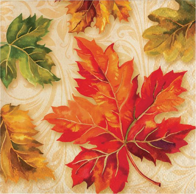 Fall Flourish Beverage Napkins: Party at Lewis Elegant Party Supplies ...