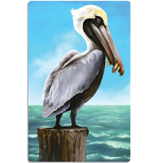 Pelican Cutout: Party at Lewis Elegant Party Supplies, Plastic ...