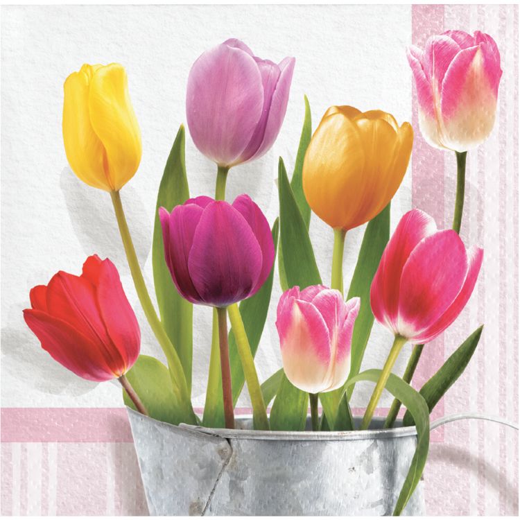 Springtime Tulips Beverage Napkins: Party at Lewis Elegant Party ...
